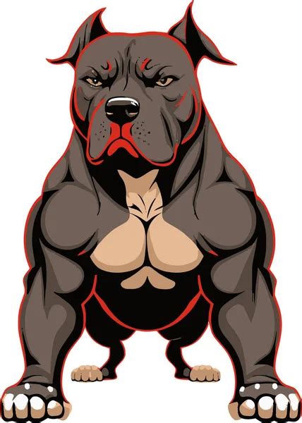 Vector Design Strong Pitbull Muscles Crossed Hands White Background