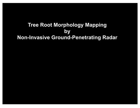 PDF Tree Root Morphology Mapping By Non Invasive Ground Penetrating Radar 2009 04 16 Step