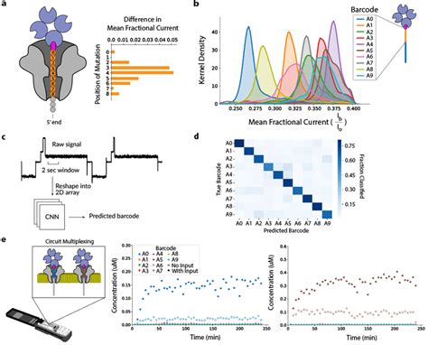 Initial Barcode Design Classification And Multiplexing A Mapping Download Scientific