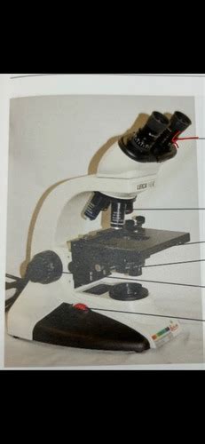 Microscope Flashcards Quizlet Microscope Flashcards Quizlet