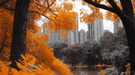 Hive Digital Accelerates Bitcoin Mining Capacity With Paraguay Expansion