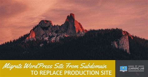 Migrate Wordpress Site From Subdomain To Replace Production Site Wplearninglab