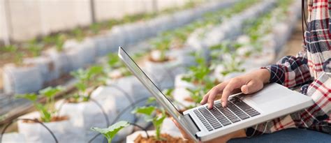 У юрособи єдинника 4 групи змінилась площа земділянки як заповнити графи 7 10 декларації з ЄП