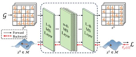 msg conducts parallel forwarding and enables a new training algorithm