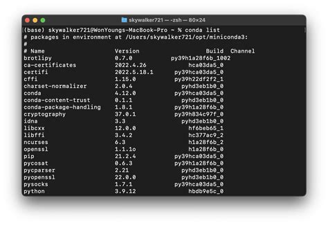Conda Virtual Environment Jupyter Notebook Printable Forms Free Online