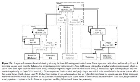Computational Models Of Neural Networks Research Paper IResearchNet