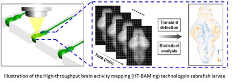 Methods Of Drug Discovery Using Phenotypic Brain Activity Maps And Machine Learning
