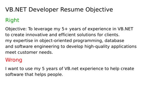 Top VB NET Developer Resume Objective Examples
