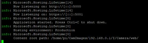 Linux Aspnetcore Net 6 On Raspberry Pi Latest Os Not Rendering