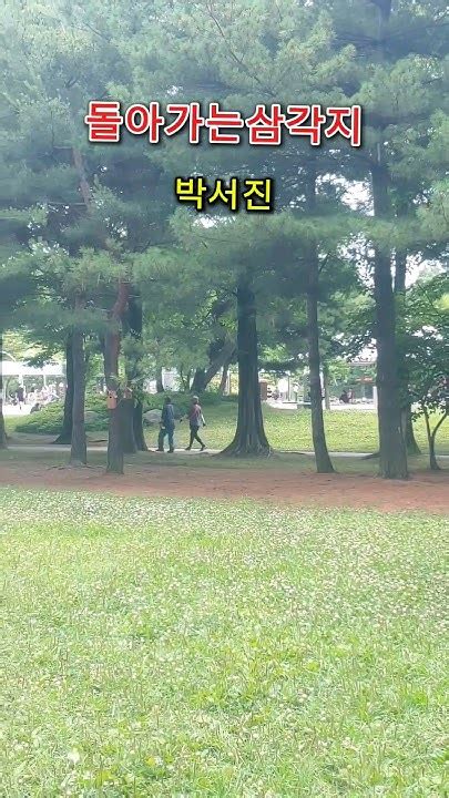 공원숲속을 걷고있는사람들 연못엔연꽃이 박서진 돌아가는삼각지 Youtube