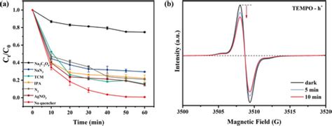 Accumulation Of Long‐lived Photogenerated Holes At Indium Single‐atom