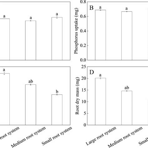 Nitrogen Uptake A Phosphorus Uptake B Shoot Dry Mass C And Root Download Scientific