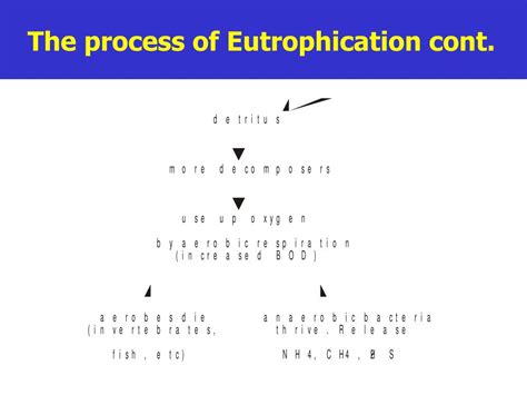 Ppt Eutrophication Powerpoint Presentation Free Download Id4291608