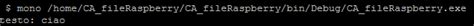 c comunicación entre un código c y la conexión hsp en raspberry