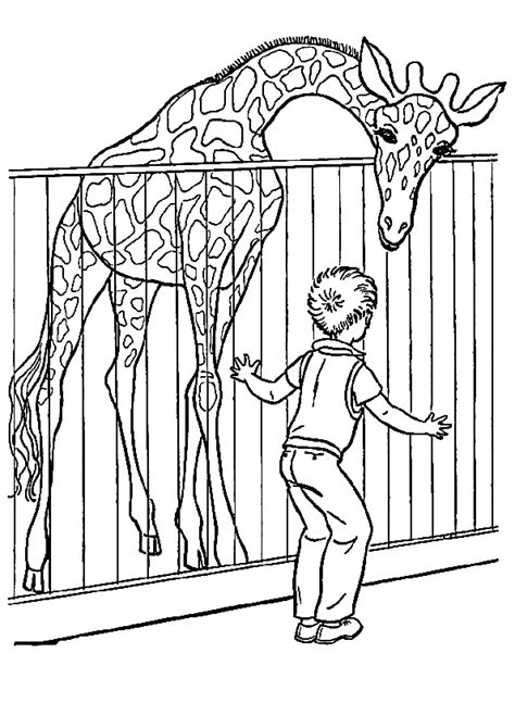 Animales Del Zoo Para Colorear Imágenes Para Dibujar Gratis