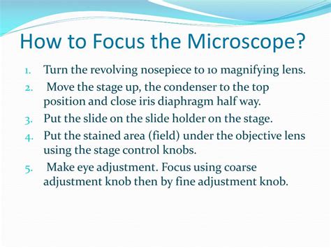 Ppt Focusing The Microscope Simple Staining Powerpoint Presentation