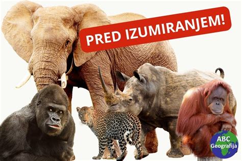 Međunarodni Dan životinje Archives Abc Geografija