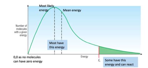 Kinetics Flashcards Quizlet Kinetics Flashcards Quizlet