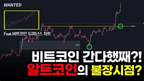 비트코인 신고점 달성 알트코인 불장가능성 딱 이것만 보시면 됩니다 Youtube