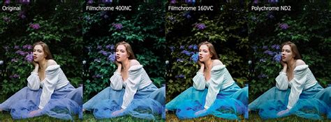 Capture One Styles Stylemypic Digital Polaroids