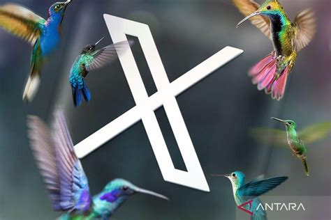 X Hadirkan Label Khusus Untuk Menandai Akun Parodi Antara News
