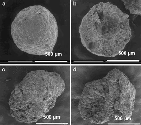 Sem Photomicrographs Of Microcapsules A Intact Hpcp Microcapsule B