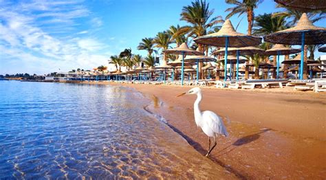 Перелет в Египет для украинцев в 2022 году