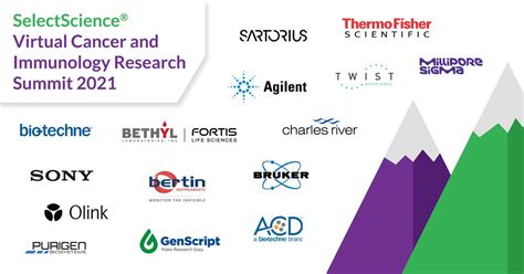 Selectscience® On Linkedin Cancerimmunologysummit Selectsciencewebinars Cancerresearch…
