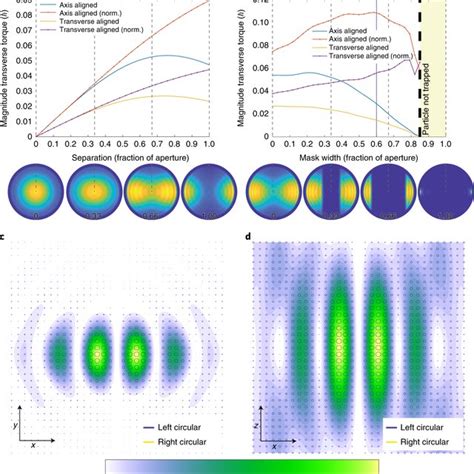 comparison of spin angular momentum determined from simulation and