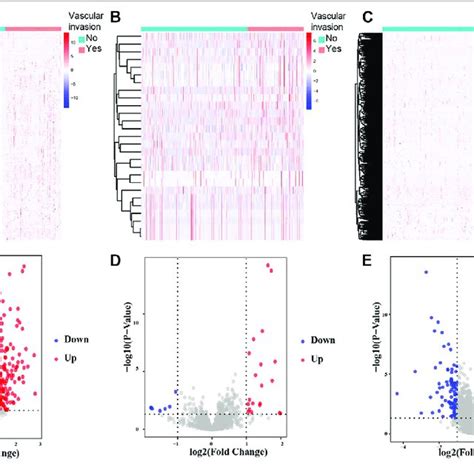 hierarchical clustering heatmaps and volcano plots for all screened