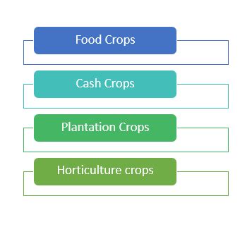Types Of Crops In India Download Major Cash Crops In India PDF India Map Agriculture In