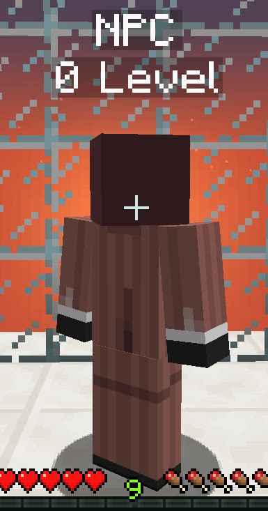Option To Not Show The Level For Citizen Npc S Issue Eniripsa SkillAPI GitHub