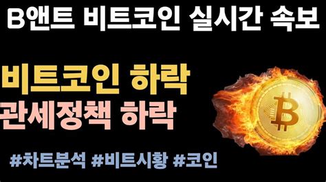 실시간 Live 비트코인 93k 비트코인 김치 프리미엄 10개월 만에 최고치트럼프 관세 여파로 불안 심화 비트코인실시간 이더리움 리플 솔라나 Trump