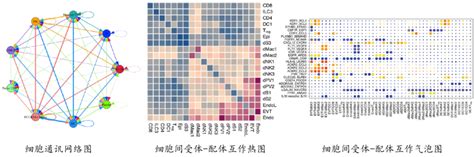 单细胞测序数据个性化分析方法有哪些？ 百迈客生物