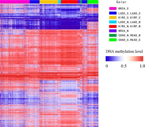 The Bidirectional Hierarchical Clustering Of Cancer Samples Of Seven Download Scientific