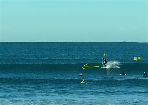 파도에 집착하게 될 때 캘리포니아 서린이의 서핑이야기