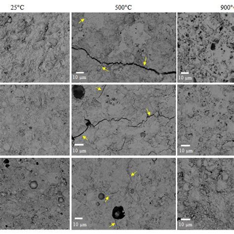 Sem Bse Micrographs Showing Formation And Healing Of Micro Cracks In