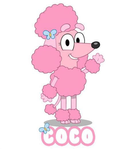 A Pink Poodle Is Standing In Front Of The Word Coco