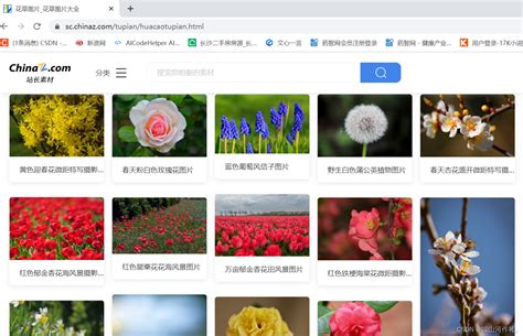 scrapy网络爬虫深度解析：框架、组件与实战照片下载 csdn博客
