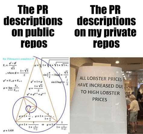 pr descriptions in private repos r programmerhumor