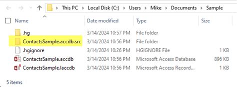 access version control a quick start guide