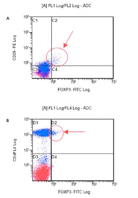 Flow Cytometry Dot Plot Showing Position Of T Regulatory Treg Cells Download Scientific Diagram