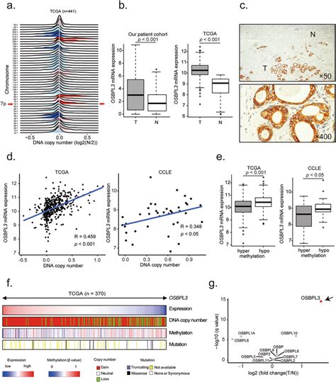 Osbpl3 Expression Dna Copy Number And Promoter Methylation In Gc A