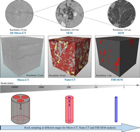 Microstructure Characterization At Dierent Length Scales Via Advanced Download Scientific