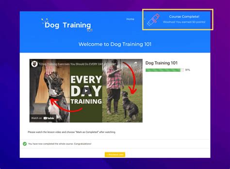 Introducing Achievements For Wp Courseware Fly Plugins