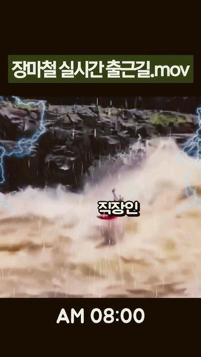 괜찮아 괜찮아 딩딩딩 장마철 극한 출근을 하는 직장인 화이팅 괜찮아딩딩딩 괜찮아 딩딩딩 유머 Youtube