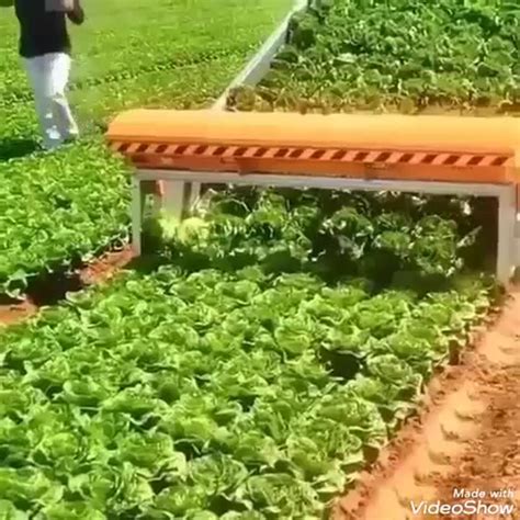 [video] Sydney Downham Posted On Linkedin