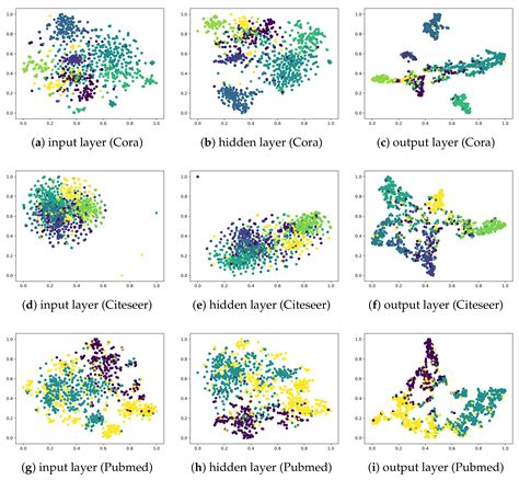 a regularized graph neural network based on approximate fractional