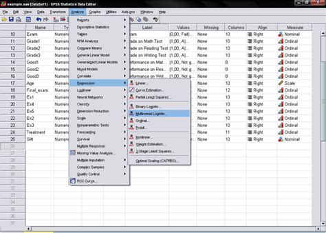 Conduct And Interpret A Multinomial Logistic Regression Statistics Solutions
