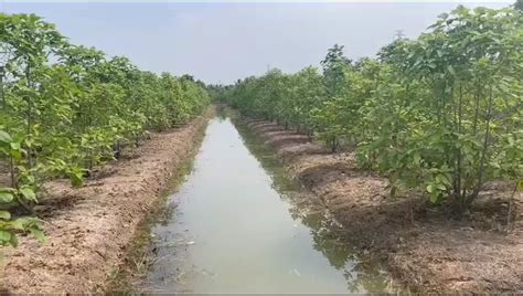 dwi wahyu prasetyo posted on linkedin